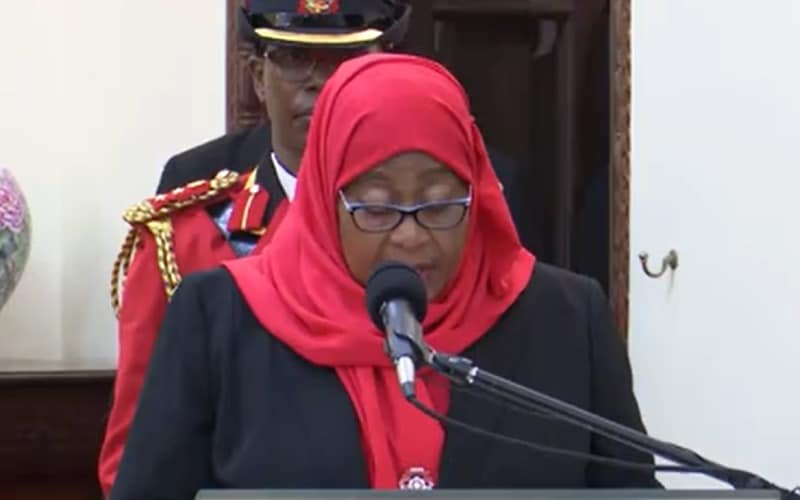 Tanzania: Samia Suluhu appoints first woman Minister of Defence