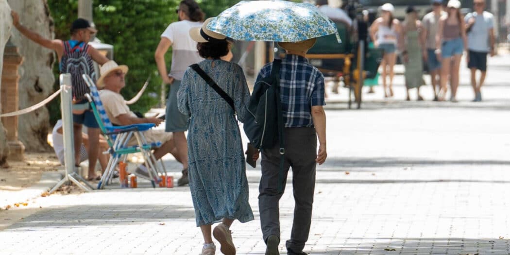 At least 21 dead in 24 hours in Morocco after a new heat wave
